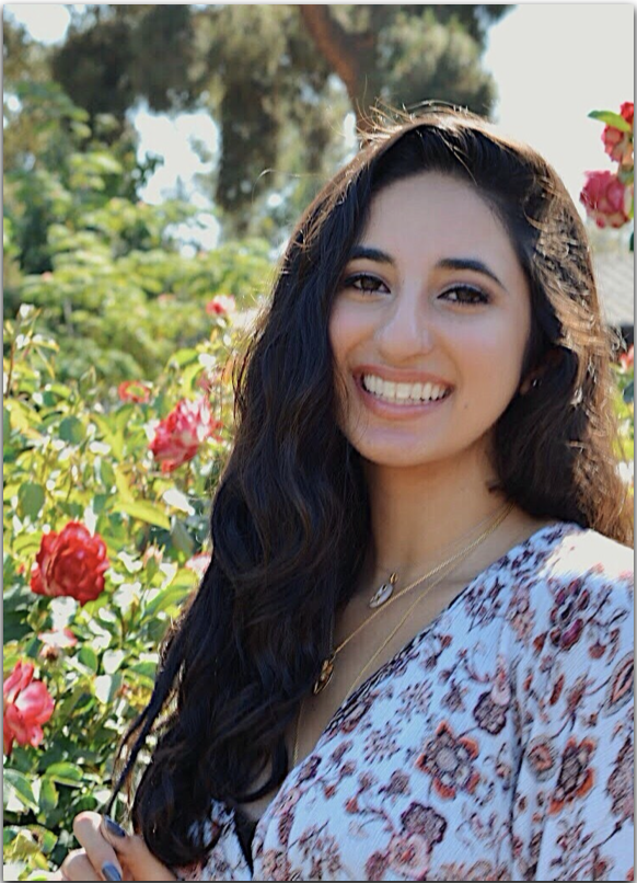 Get Hyped Using Docker Go With Mongodb Mongodb