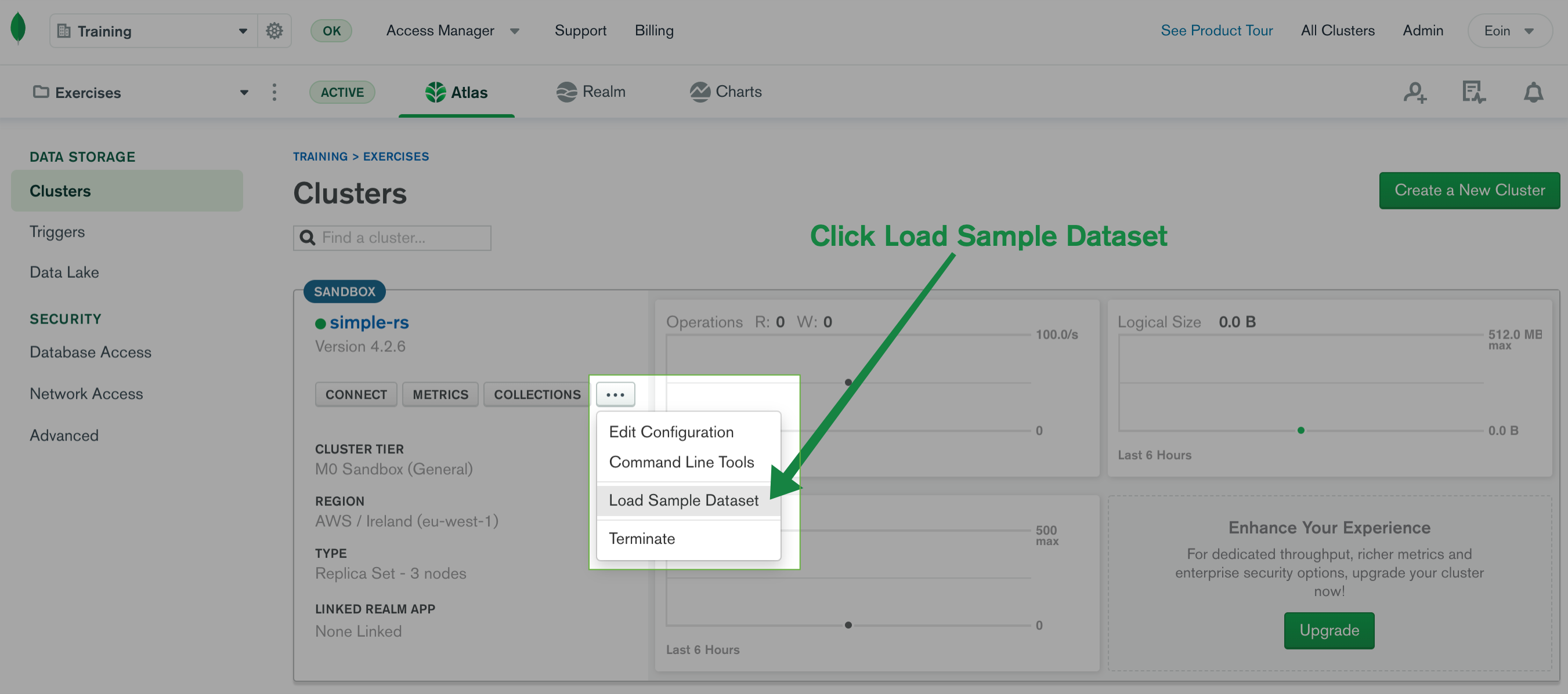 The MongoDB Atlas Sample Datasets MongoDB